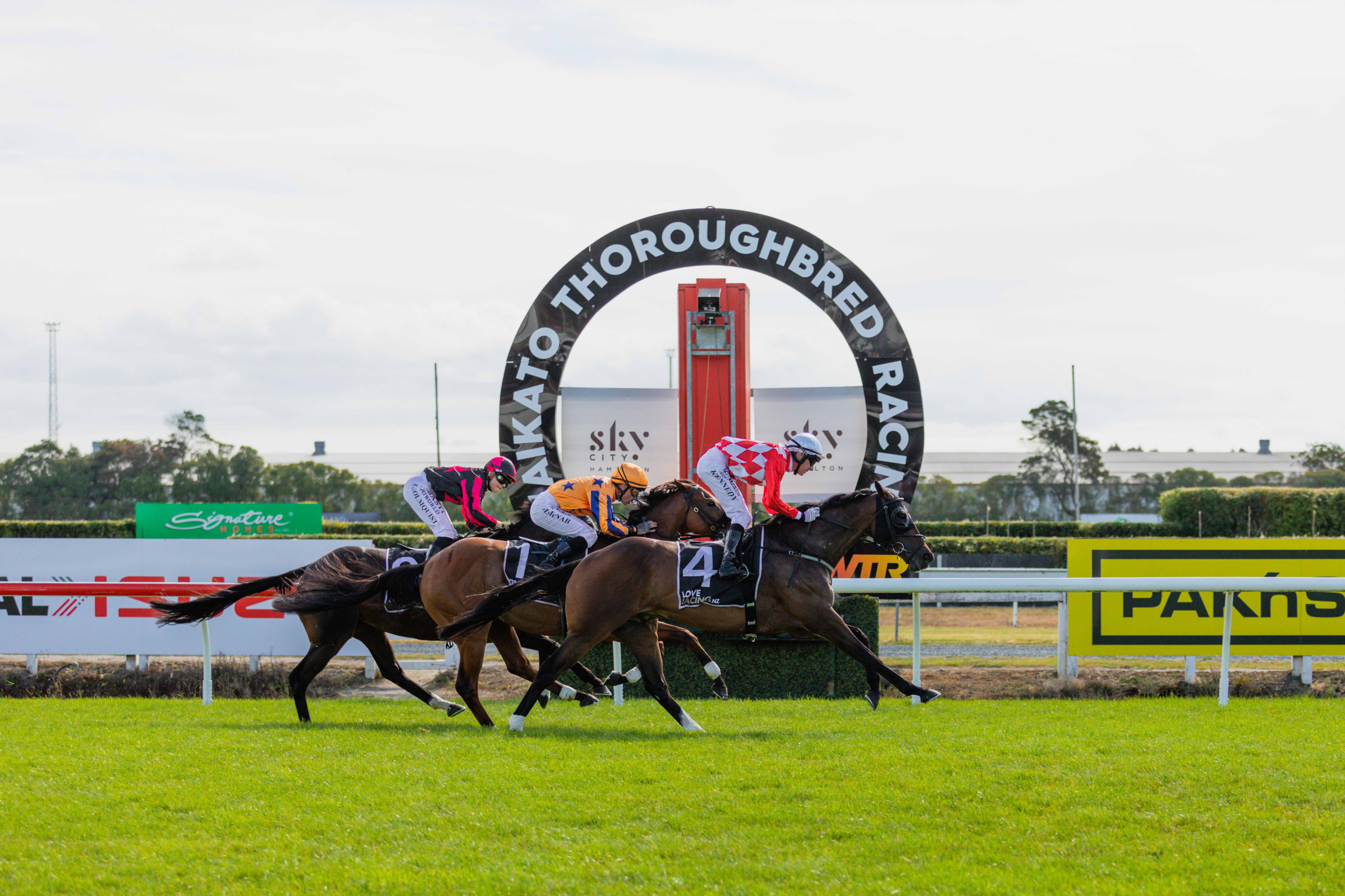 WTR Facilities Master Plan - Waikato Thoroughbred Racing